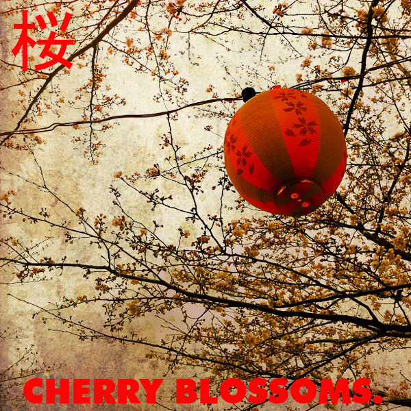 On Letting Go of a Tree Branch in Japan | This Japanese Life.